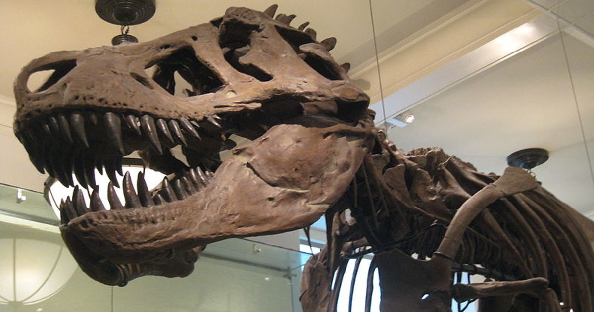 Imperial College Team IDs Biological Structures Including Amino Acids ...