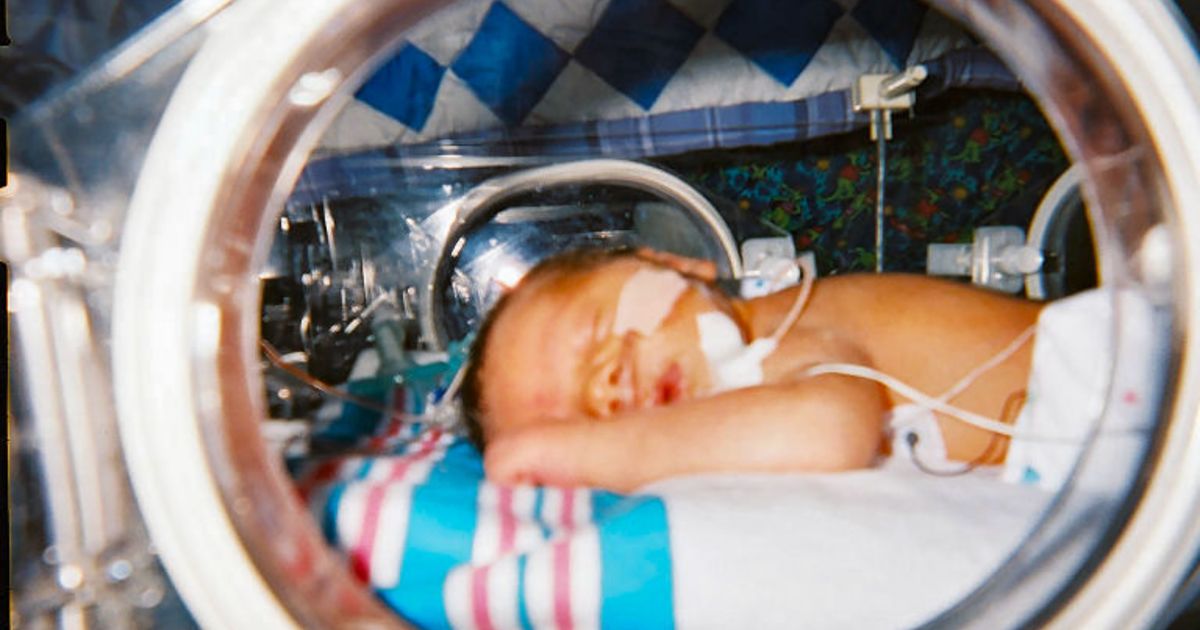 Medical University of Vienna Team Shows Roche PCR Test Suitable for ...