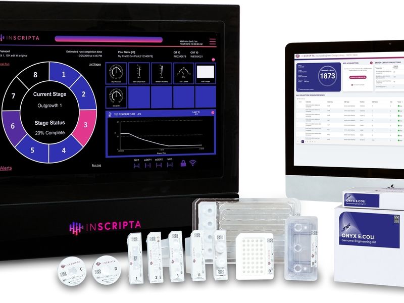 Genome Editors Begin Lining Up for Inscripta's Onyx Platform | Genomeweb