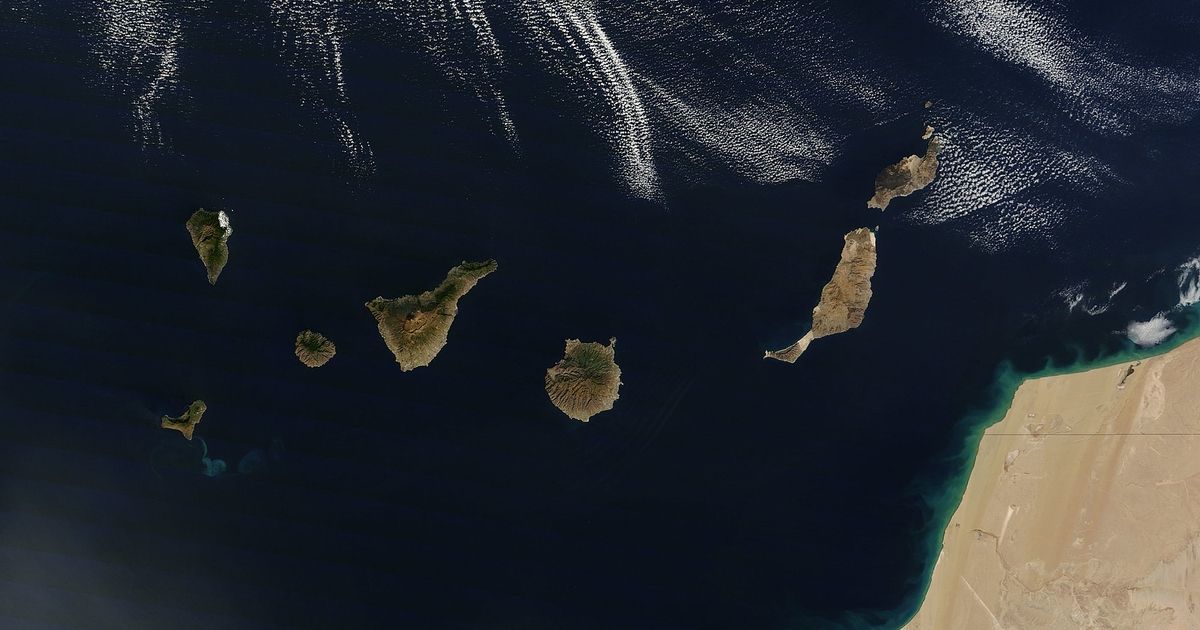 Ancient Sequences Reveal Indigenous Population Patterns on Canary ...