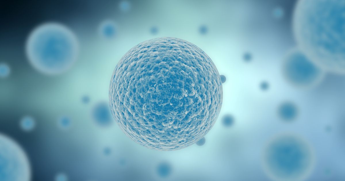 Lack of Cell Line Genetic Diversity Impacts Research, Clinical ...