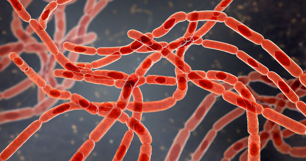 T2 Biosystems Readies Biothreat Panel for FDA Submission While Keeping ...