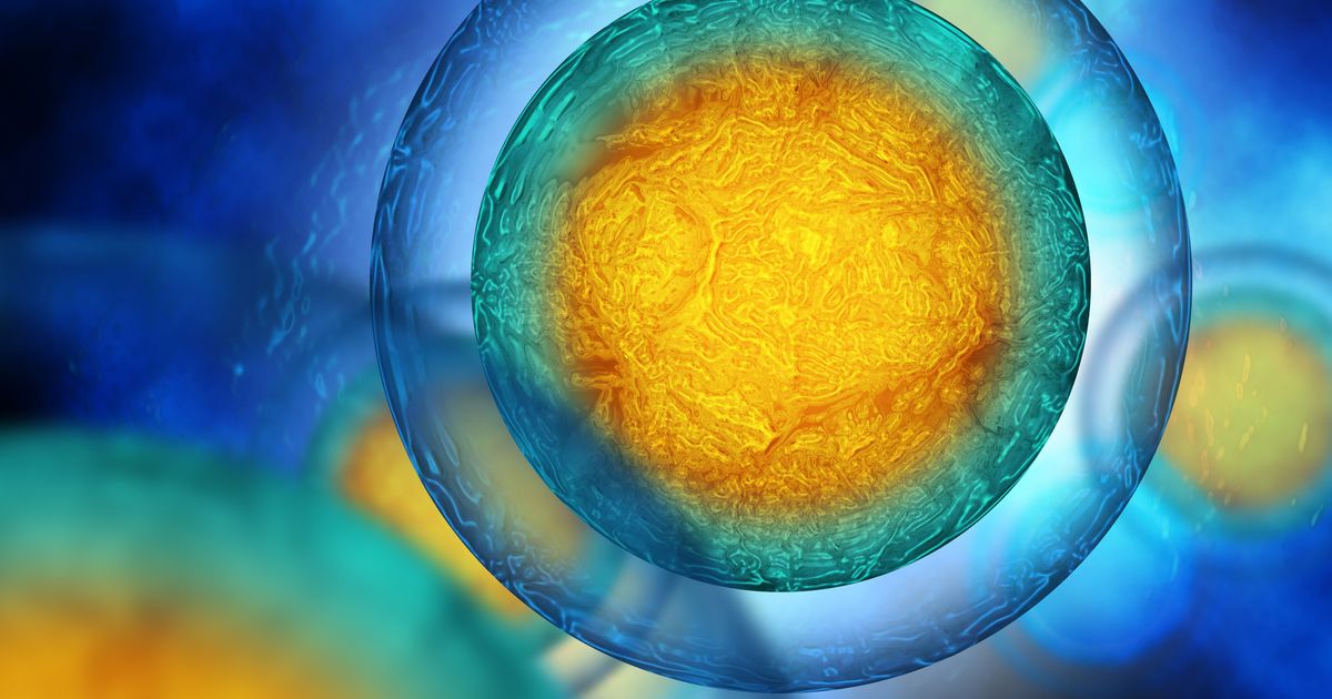 Single-Cell Transcriptome Resource From Human Cell Atlas Team Yields ...