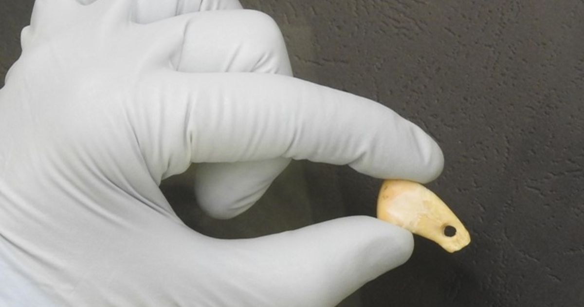 Ancient Human DNA Isolated From 20K-Year-Old Deer Tooth Pendant Sheds ...