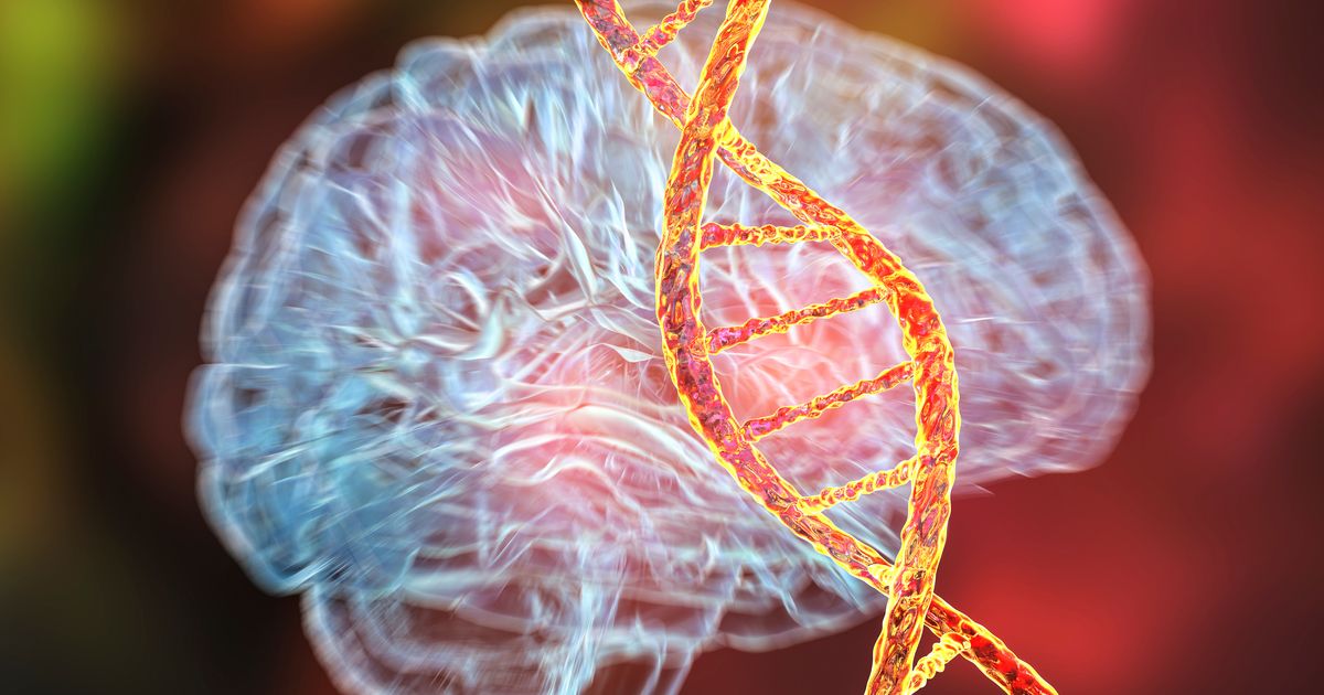 Genetic Variant Effects on Gene Expression Mapped in Elderly Human ...