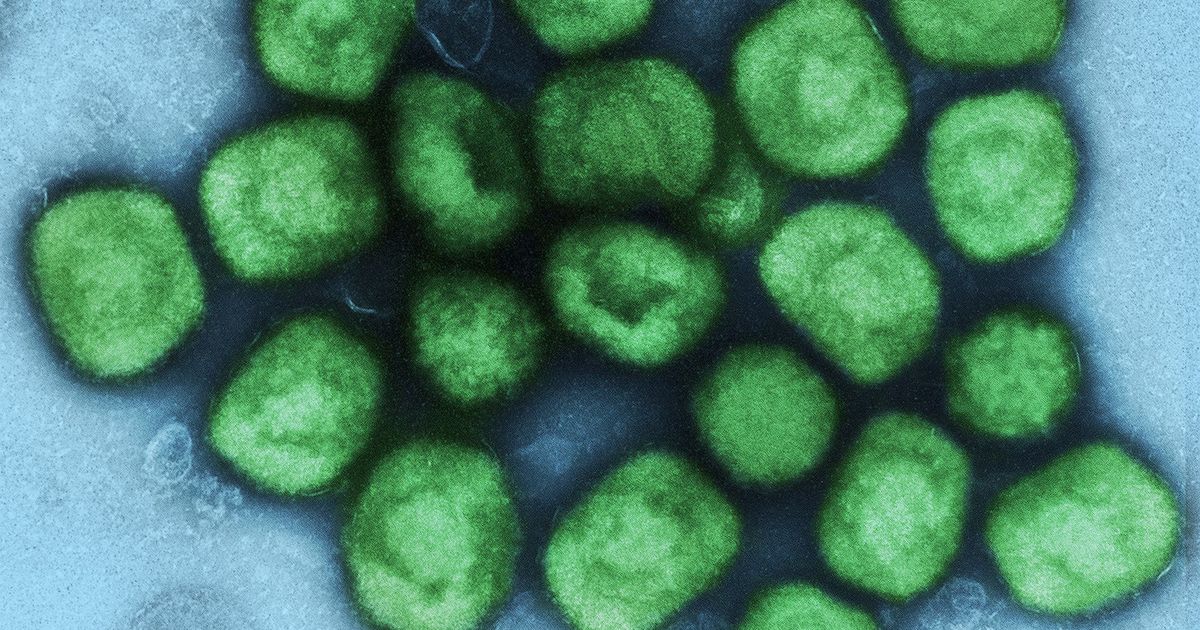 Mpox Transmission Patterns Profiled in Portugal With Genomic ...