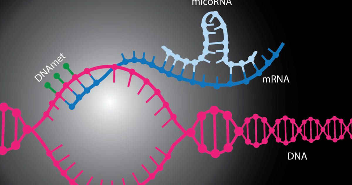 MicroRNA Discoverers Win Nobel Prize in Physiology or Medicine | GenomeWeb