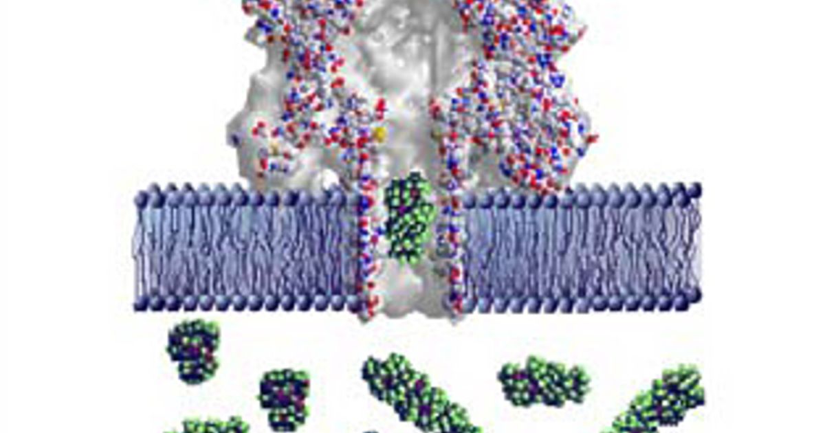 Nanopore-Based Protein Analysis Approaches Feasibility | GenomeWeb