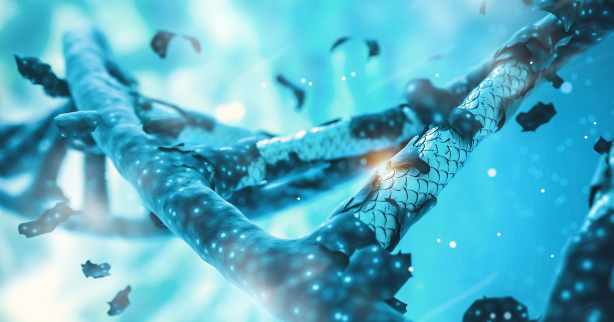 Delfi Diagnostics Boosts Lung Cancer Detection Power With Addition of ...