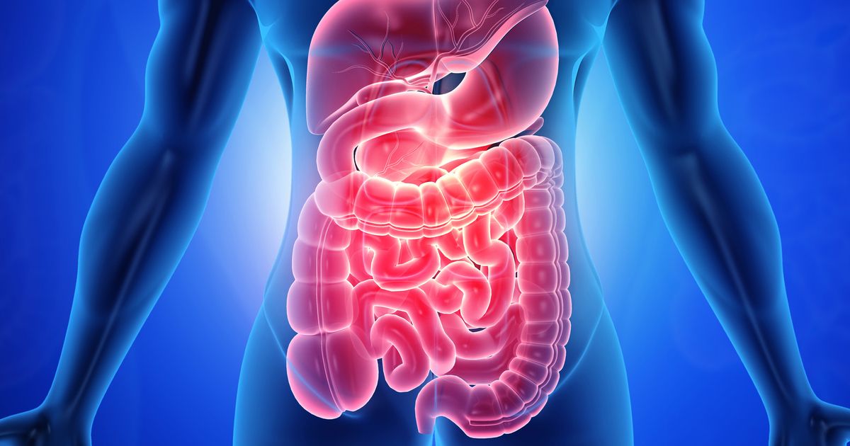 Foli Bio Turns to Exfoliated Fecal RNA To Develop Gut Disease ...