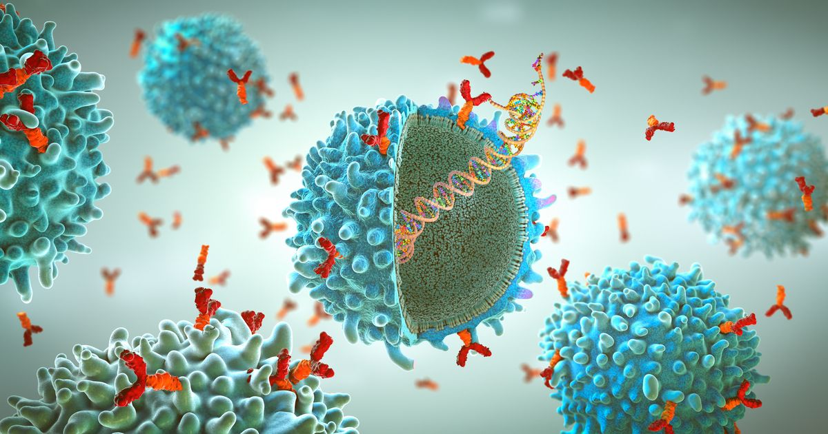 Metastatic Melanoma Study Finds Immunotherapy Resistance Mutations in Immune-Linked Genes ...