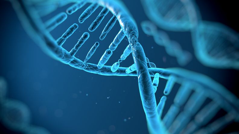 Genetics News & Genomics News From GenomeWeb