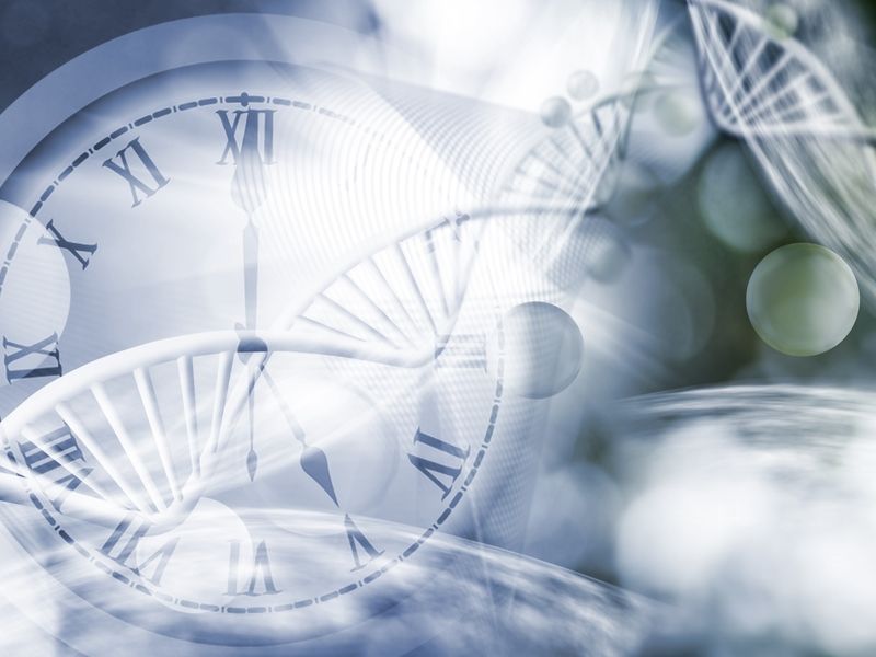 Aging Clock Developed From Inflammatory Immune Features | Genomeweb